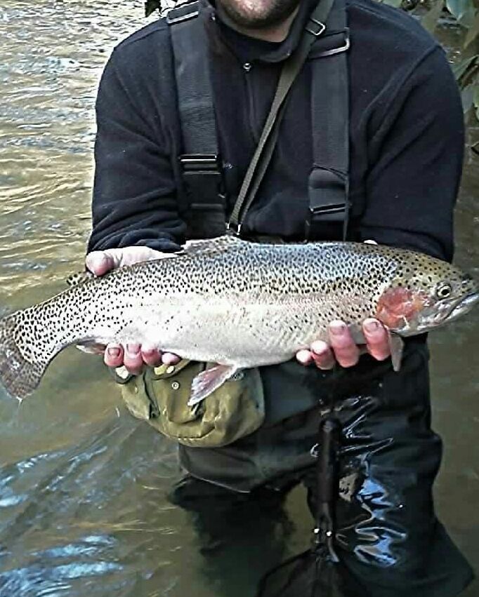 Trout Size Limit In GA Page 3 GON Forum trout-size-limit-in-ga-page-3-gon-forum