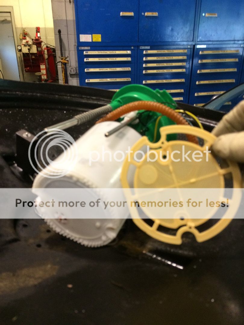 An old friend came to visit me this week.....P310B