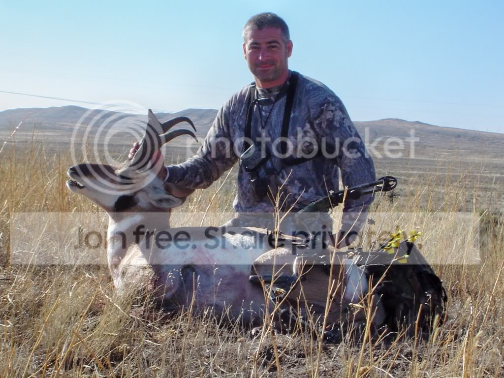 Muley hunt for 08? | Archery Talk Forum