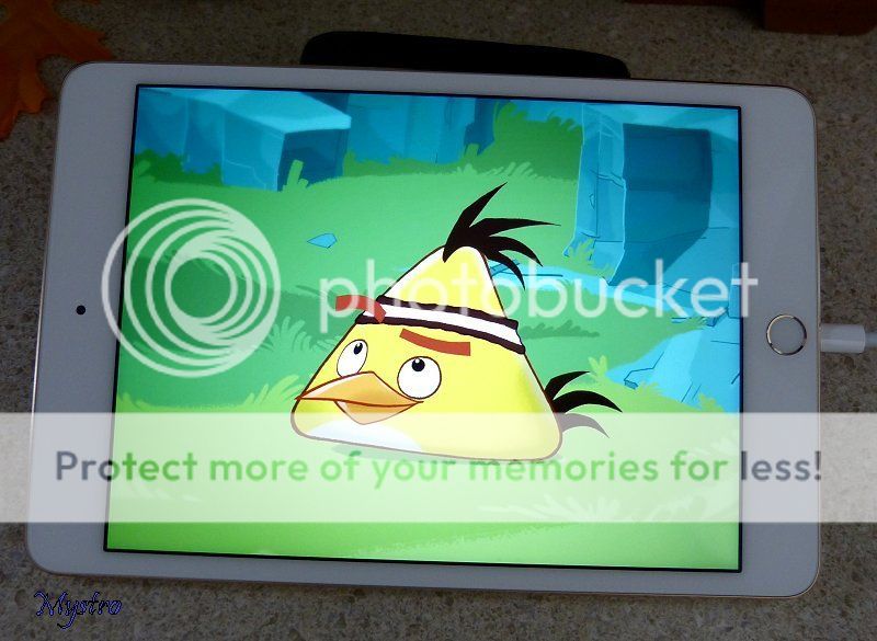 Ipad MINI 4 screen demo pics just taken. | MacRumors Forums