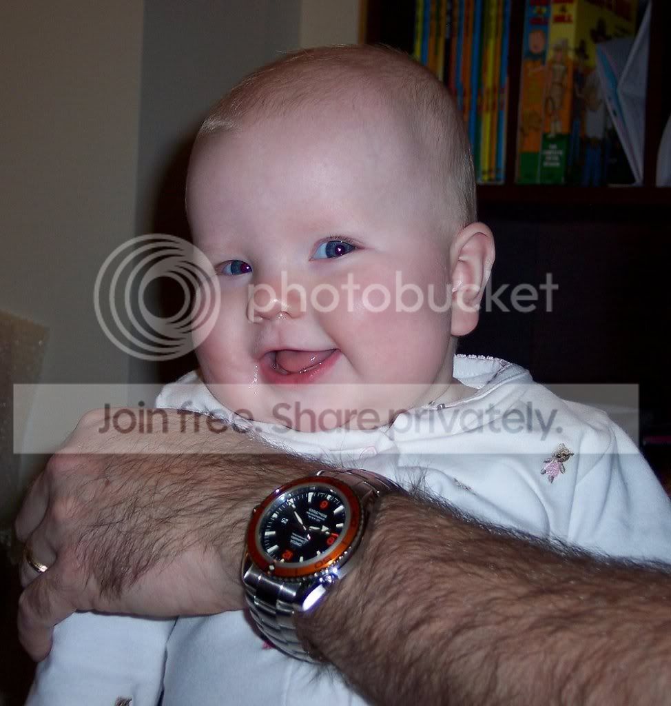 Rolex Makes Cat Toys | WatchUSeek Watch Forums