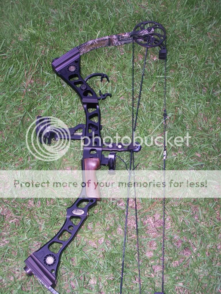Mathews S2 or DXT | Archery Talk Forum