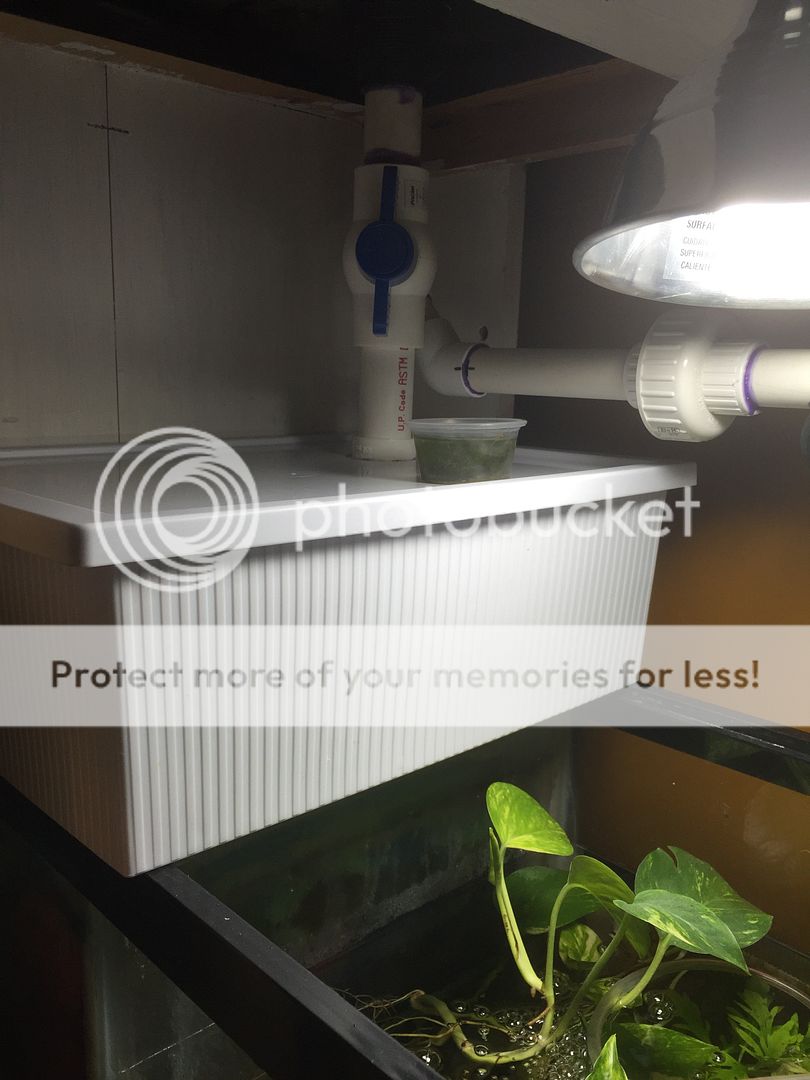 Diy extra bio media storage | Cichlid Fish Forum