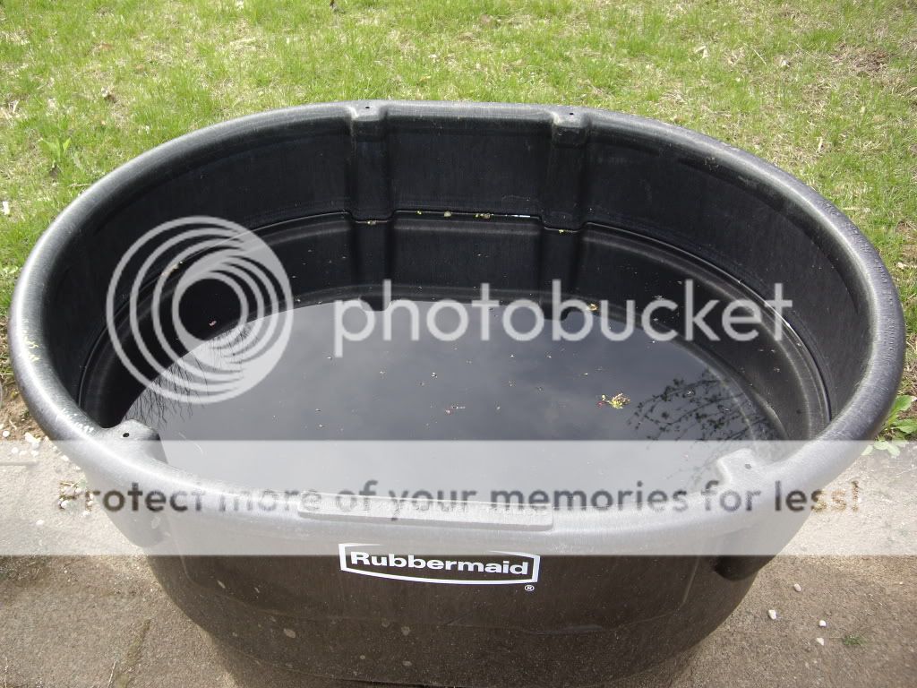 setting up a 70 gal planted bin outside | The Planted Tank Forum